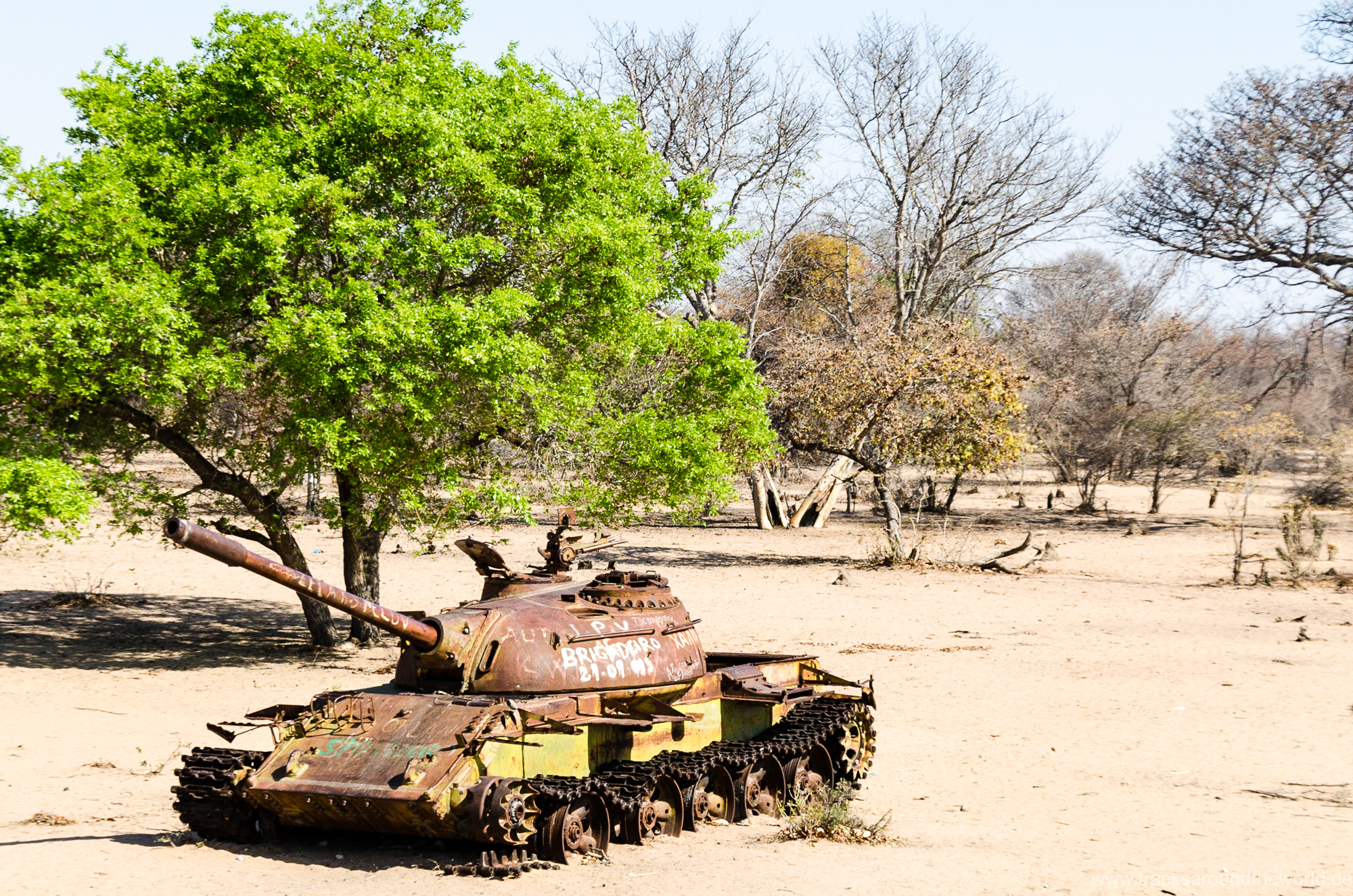 Adventure Angola: through the Baobab country up to the Congo River ...